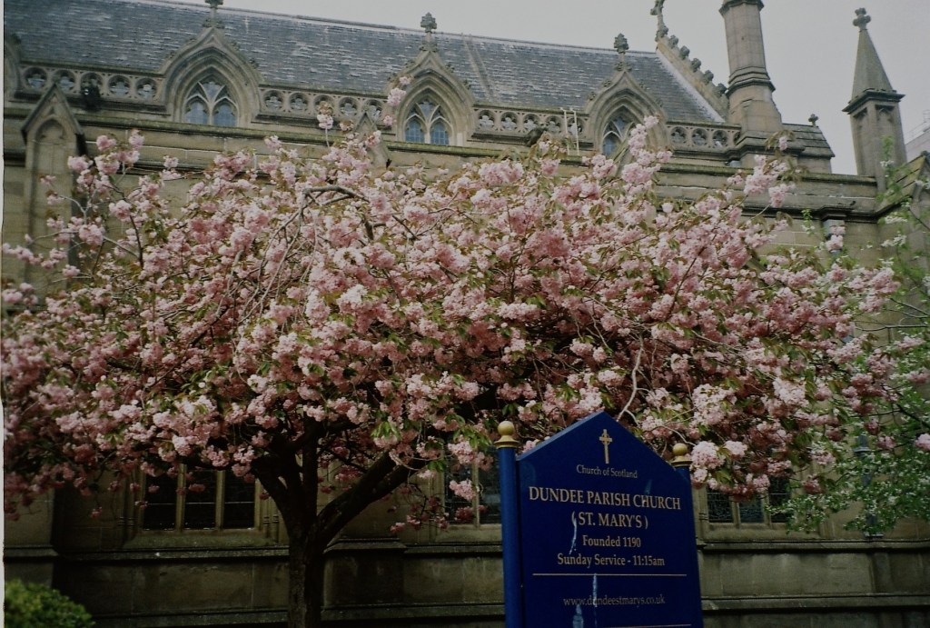 Help Us Grow – The Jute Journal